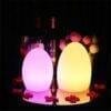 Remote Control Egg Shape RGB Night Lamp - Lighting4Home