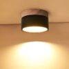 Dimmable Surface Mounted Wood-Pattern Downlight