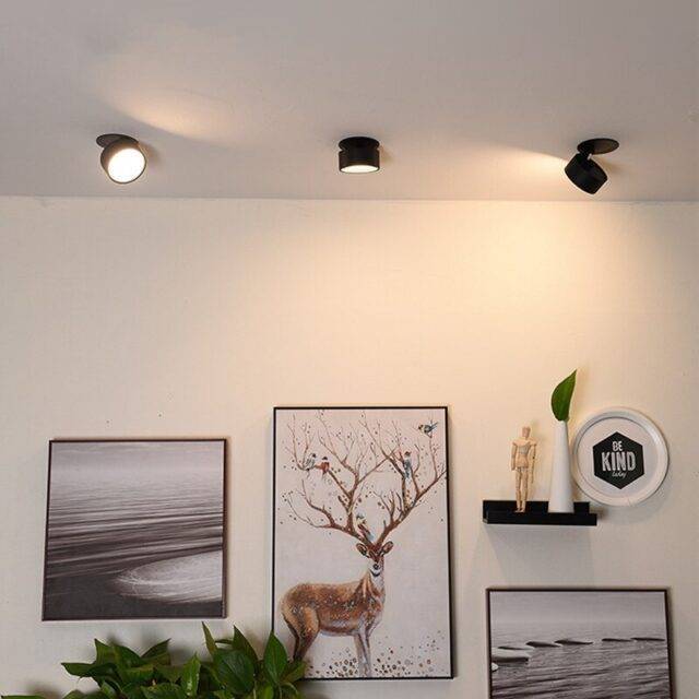 Rotatable Round LED Panel Downlights - Lighting4Home