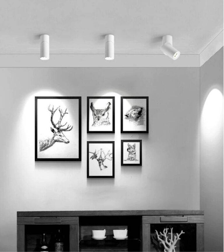 Angle Adjustable Cylinder LED Ceiling Spotlights - Lighting4Home