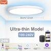 Smart LED Flush Mount Ceiling Lights