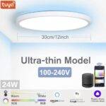 Smart LED Flush Mount Ceiling Lights