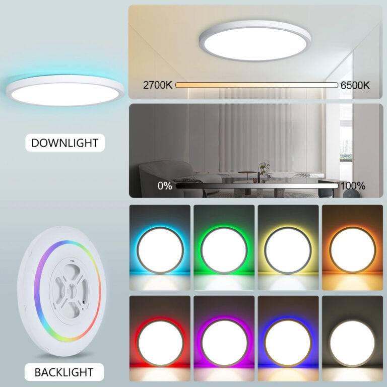 Smart LED Flush Mount Ceiling Lights
