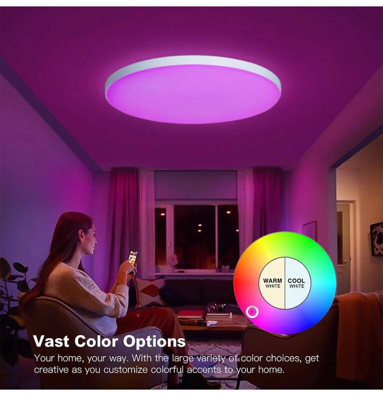 Smart LED Flush Mount Ceiling Lights