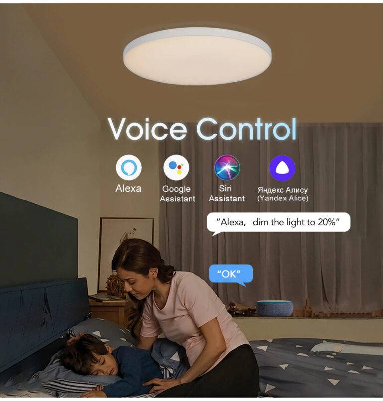 Smart LED Flush Mount Ceiling Lights