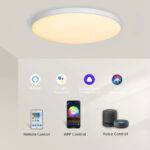 Smart LED Flush Mount Ceiling Lights