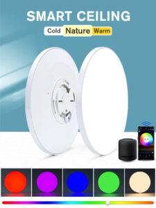 Smart LED Flush Mount Ceiling Lights