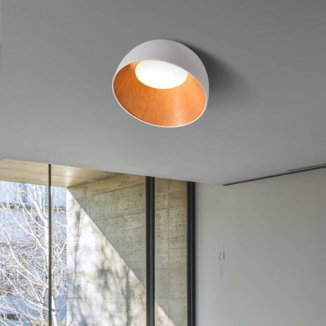 Large Dome Lampshade LED Ceiling Downlight - Lighting4Home