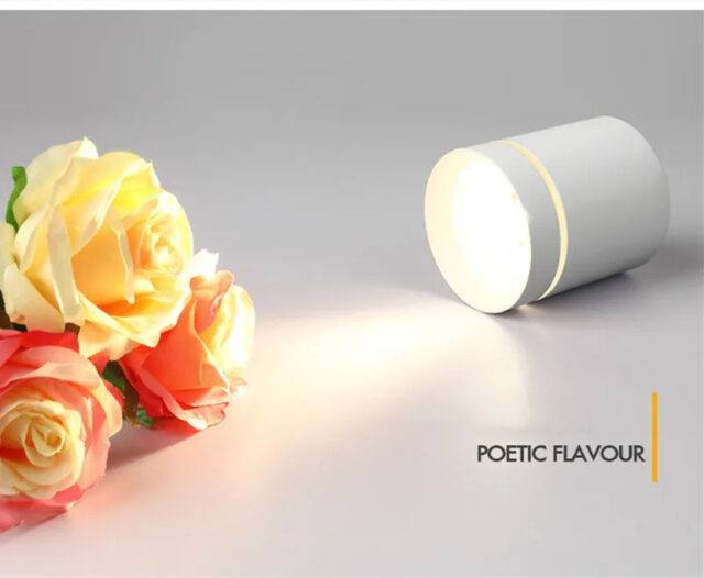 Surface-Mounted Colorful Cylindrical Downlights - Lighting4Home