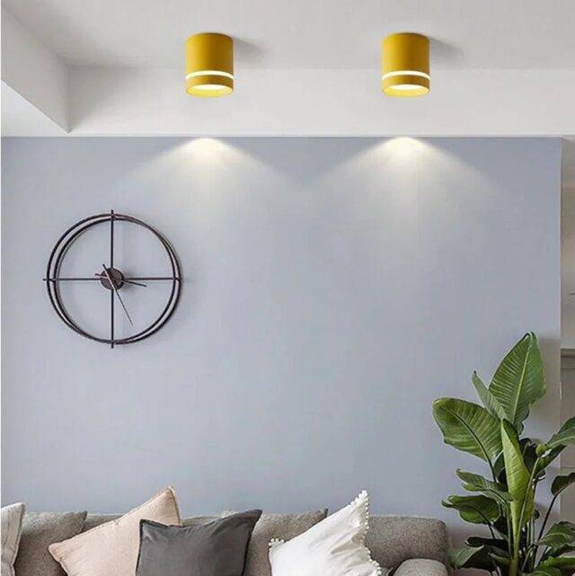 Surface-Mounted Colorful Cylindrical Downlights - Lighting4Home